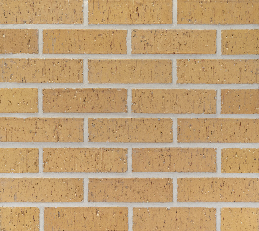 Brick Archives - Acme Brick