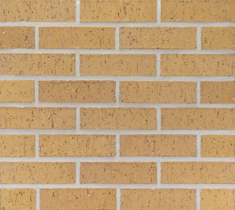 Brick Archives - Acme Brick