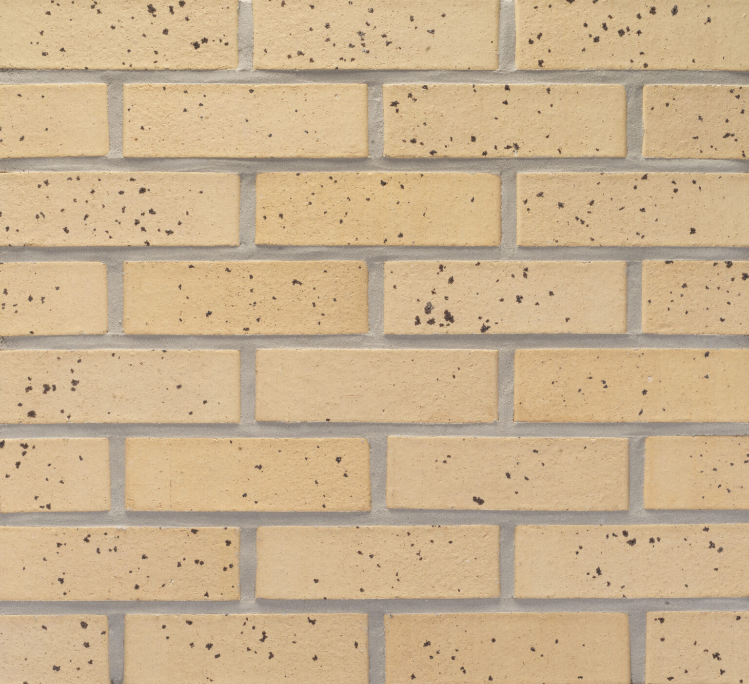 Desert Sand - Modular - Smooth - Acme Brick