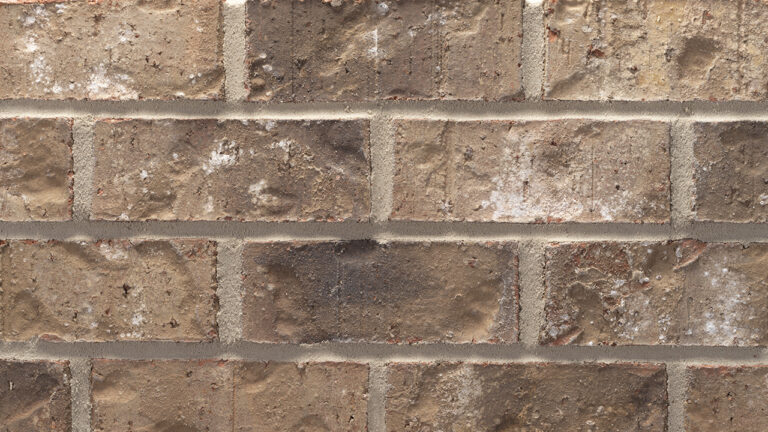 Products - Acme Brick