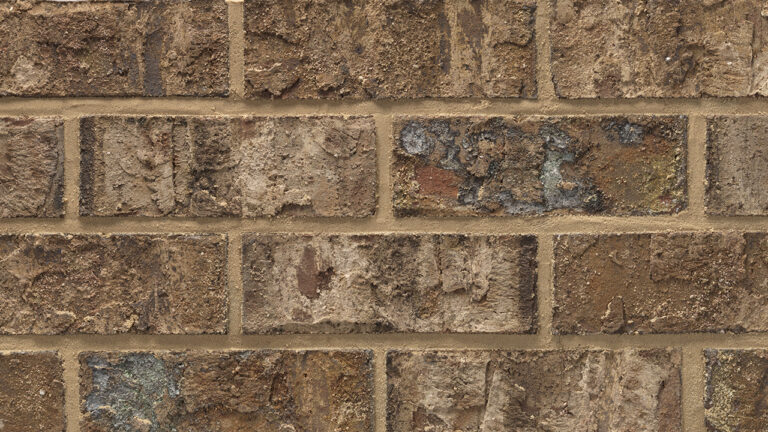 Mosstown - Queen - Heritage - Acme Brick