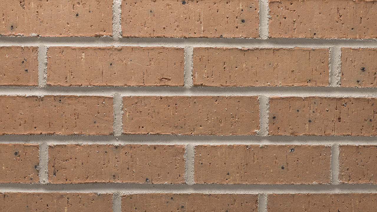 Desert Peach - Acme Brick