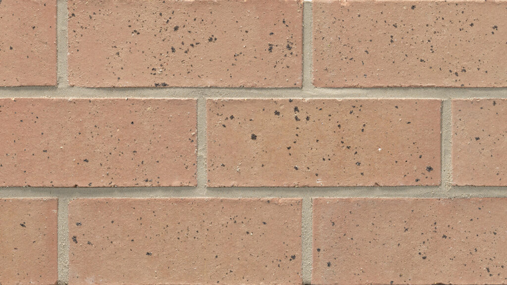 Twilight Rose - Estate - Smooth - Acme Brick