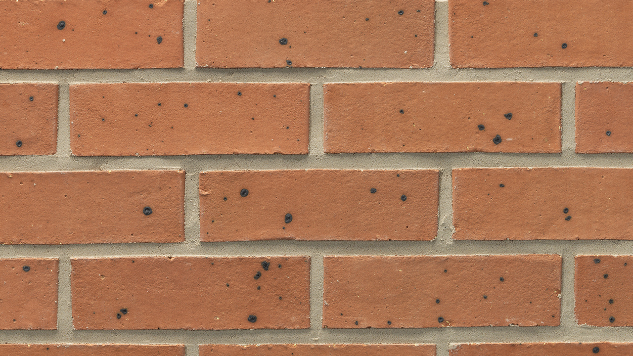 Santa Fe - Acme Brick