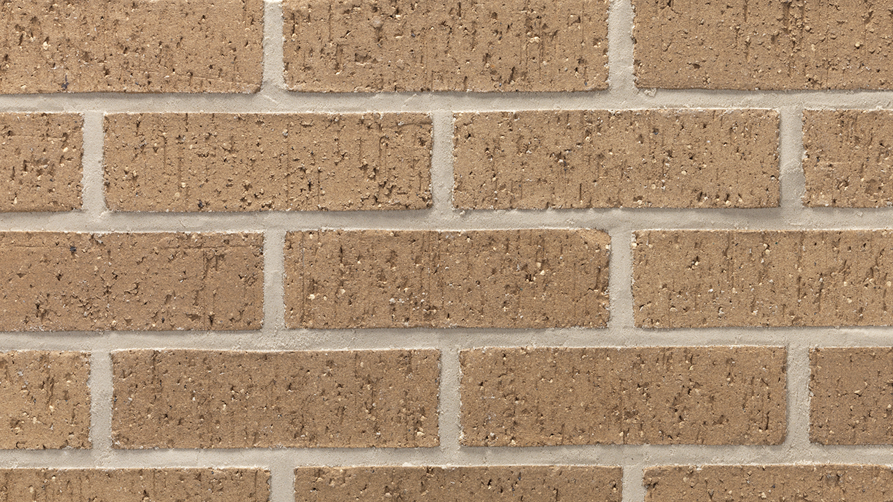 Paloma Gray - Acme Brick