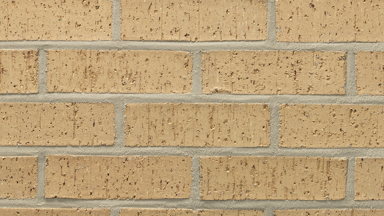 Light Orchid - Acme Brick