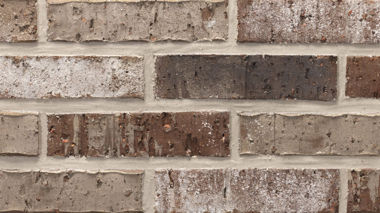 Brick Archives - Acme Brick