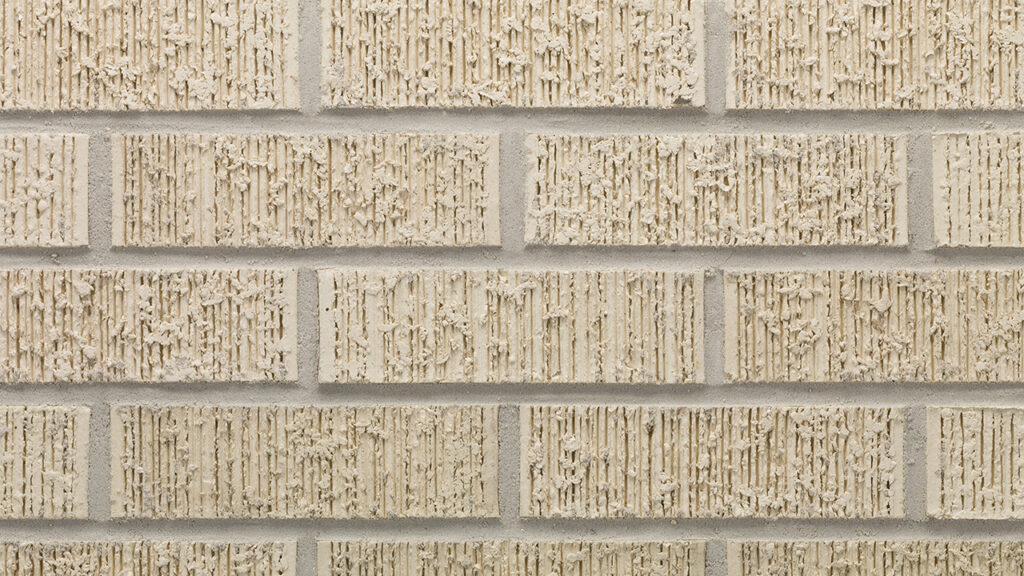 Rustic White - Modular - Ruff - Acme Brick