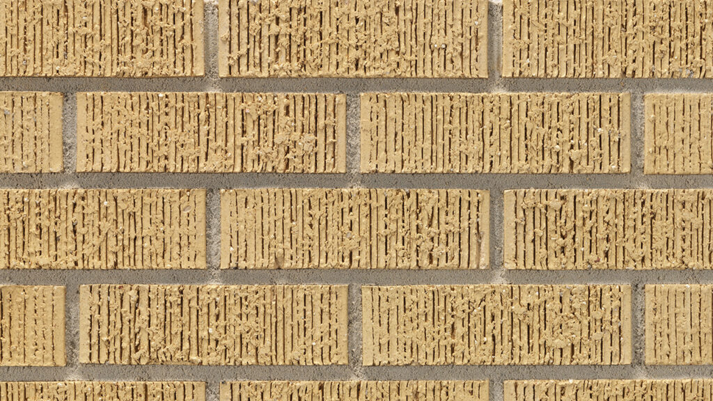 French Vanilla Medium - Modular - Ruff - Acme Brick
