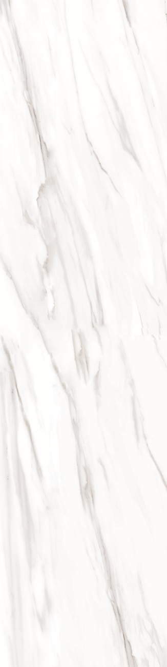 Carrara Select Polished Venato Bullnose 4 x 24 - Acme Brick