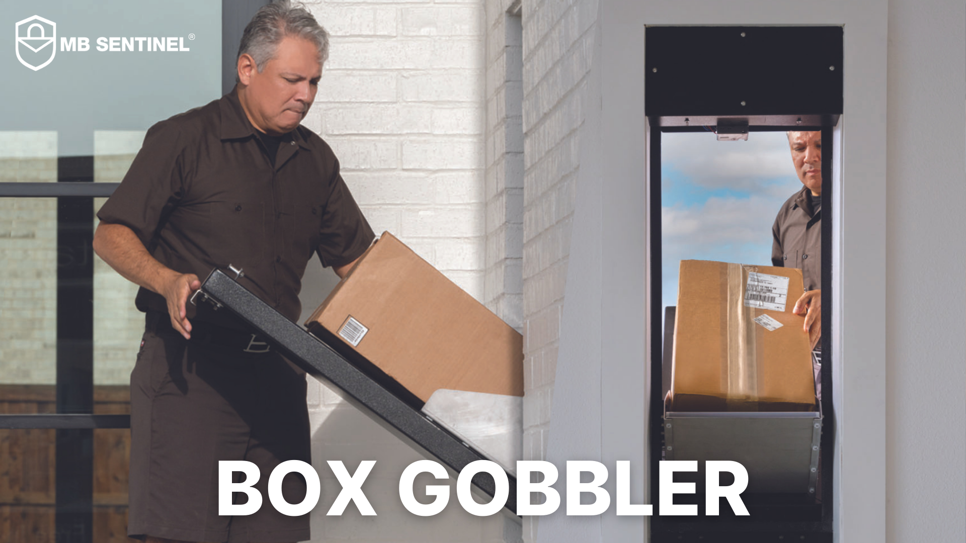 MB Sentinel - Acme Brick