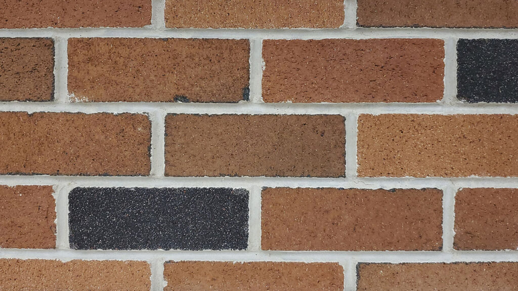 Federal Blend - Queen - Mixed - Acme Brick