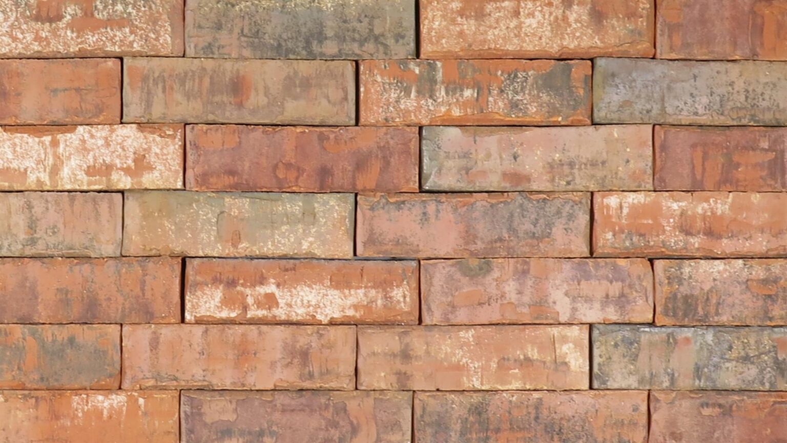 Shenandoah - King - Heritage - 5,712 (qty) - Acme Brick