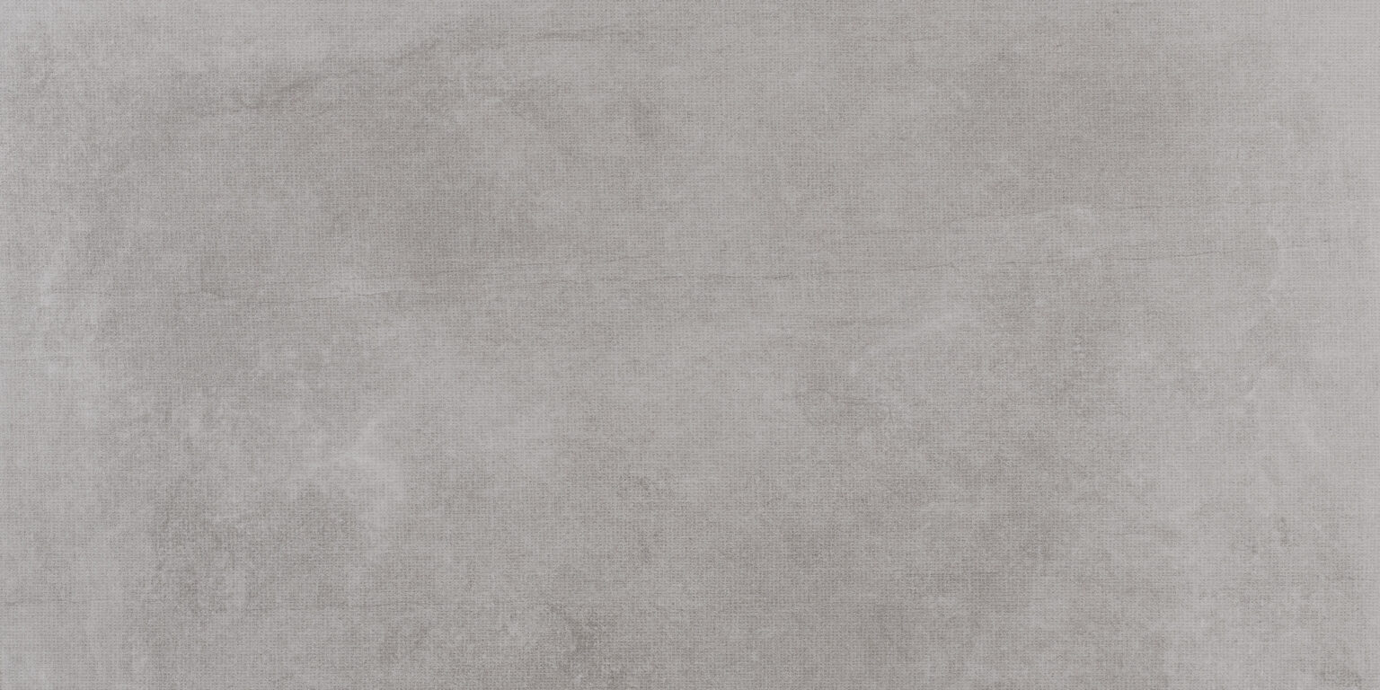 Fusion Graphite 12 x 24 - Acme Brick
