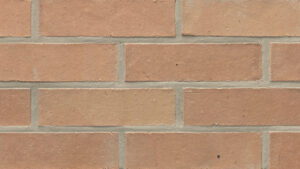 Lt Acapulco Orchid - Acme Brick