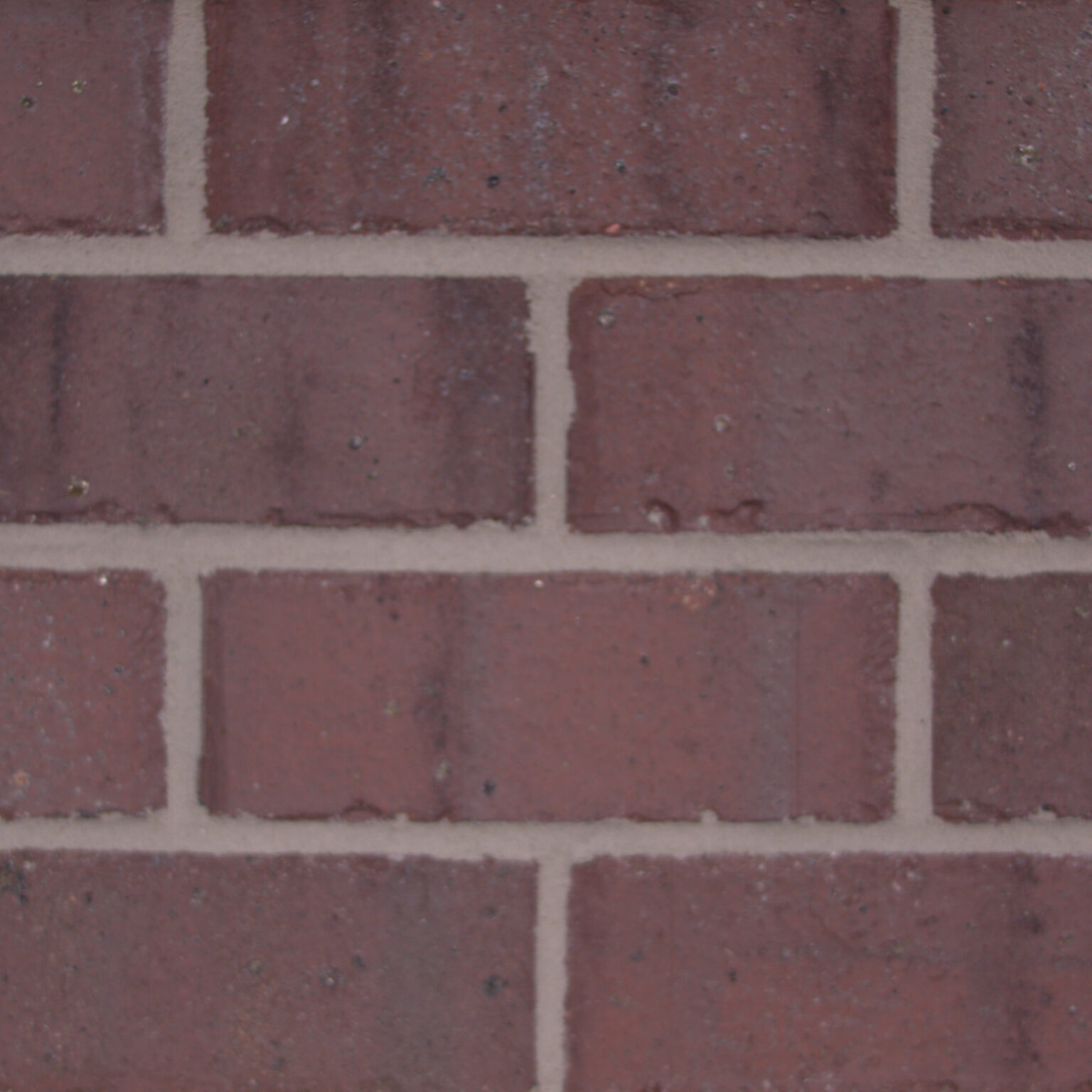Calgary - Modular - Coated - Acme Brick