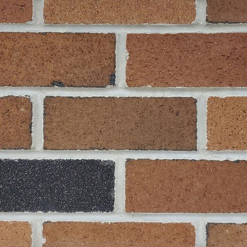 Royal Thin Brick - Acme Brick